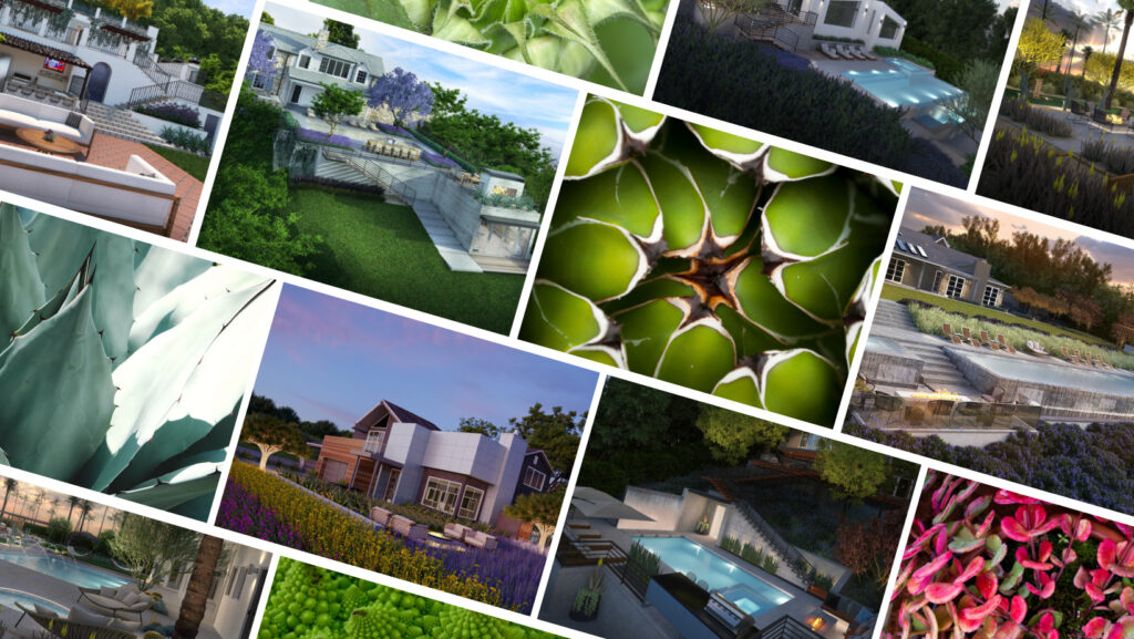 A Year in Review - Ecocentrix